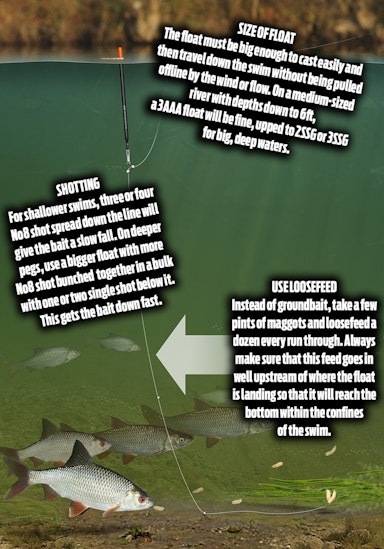 ESSENTIAL RIVER ROACH RIGS | Angling Times