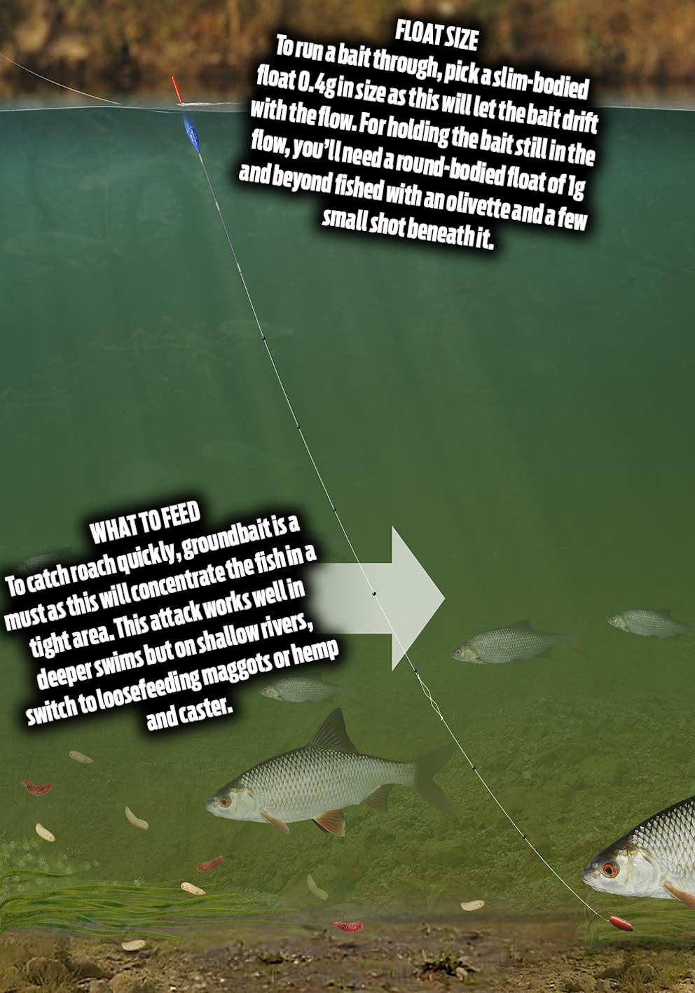 ESSENTIAL RIVER ROACH RIGS | Angling Times