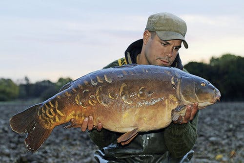 HOW TO TIE THE POP-UP BOILIE MAGGOT RIG! | Angling Times