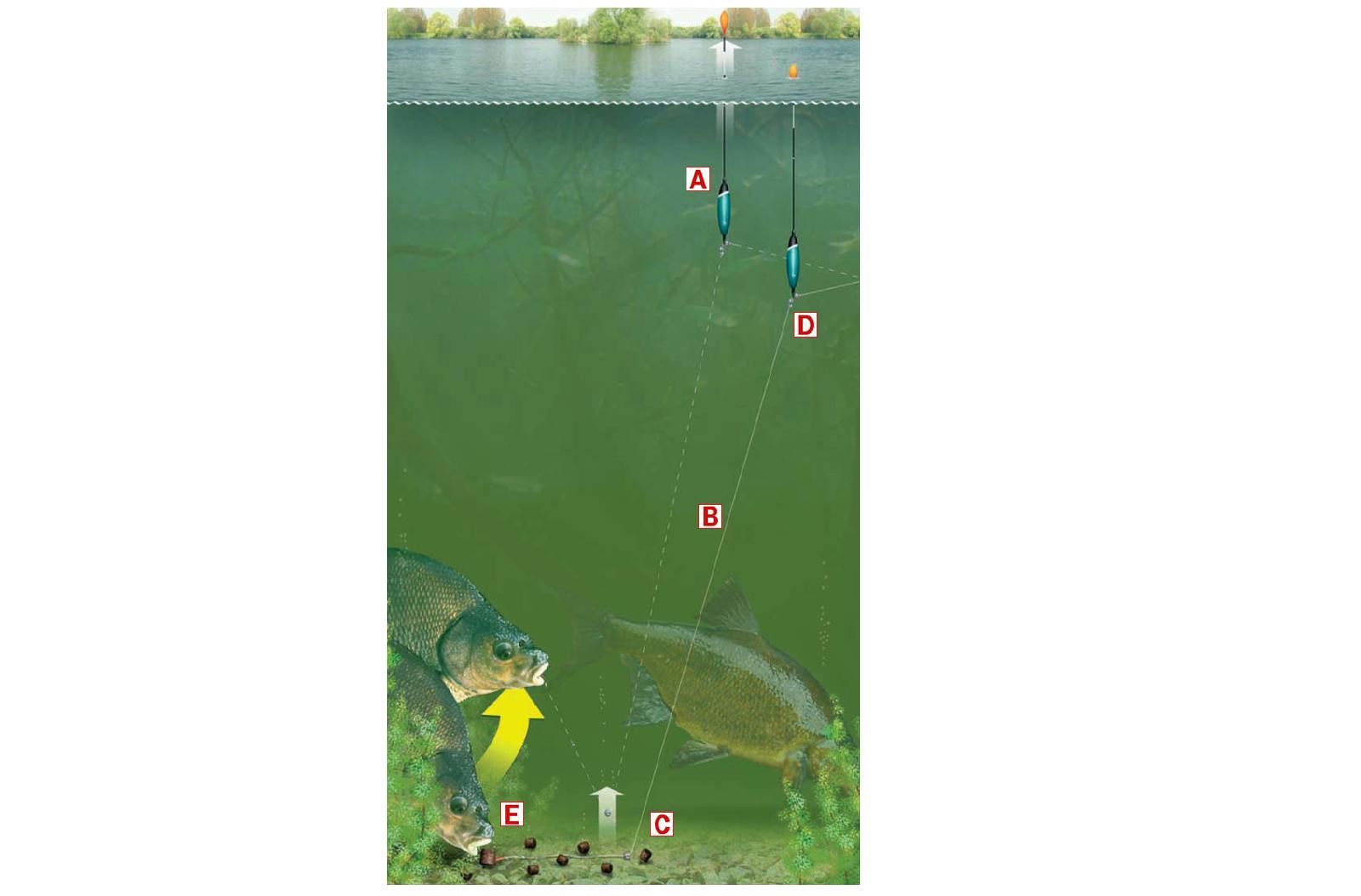 HOW AND WHEN TO USE A DRIFTBEATER FLOAT RIG | Angling Times