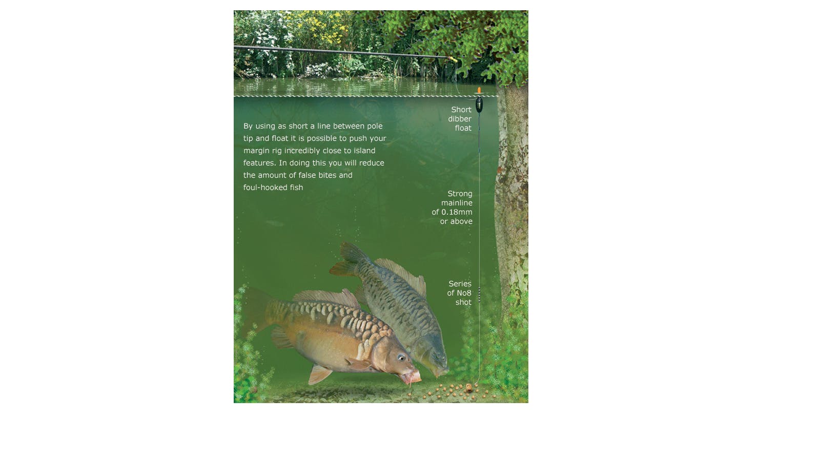 PREVENT FOUL HOOKING CARP WHEN MARGIN FISHING | Angling Times