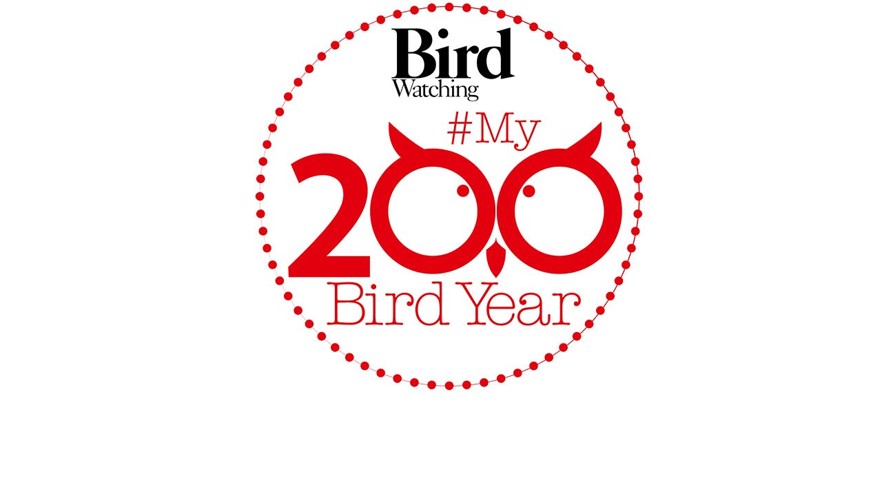 #My200BirdYear | Bird Watching