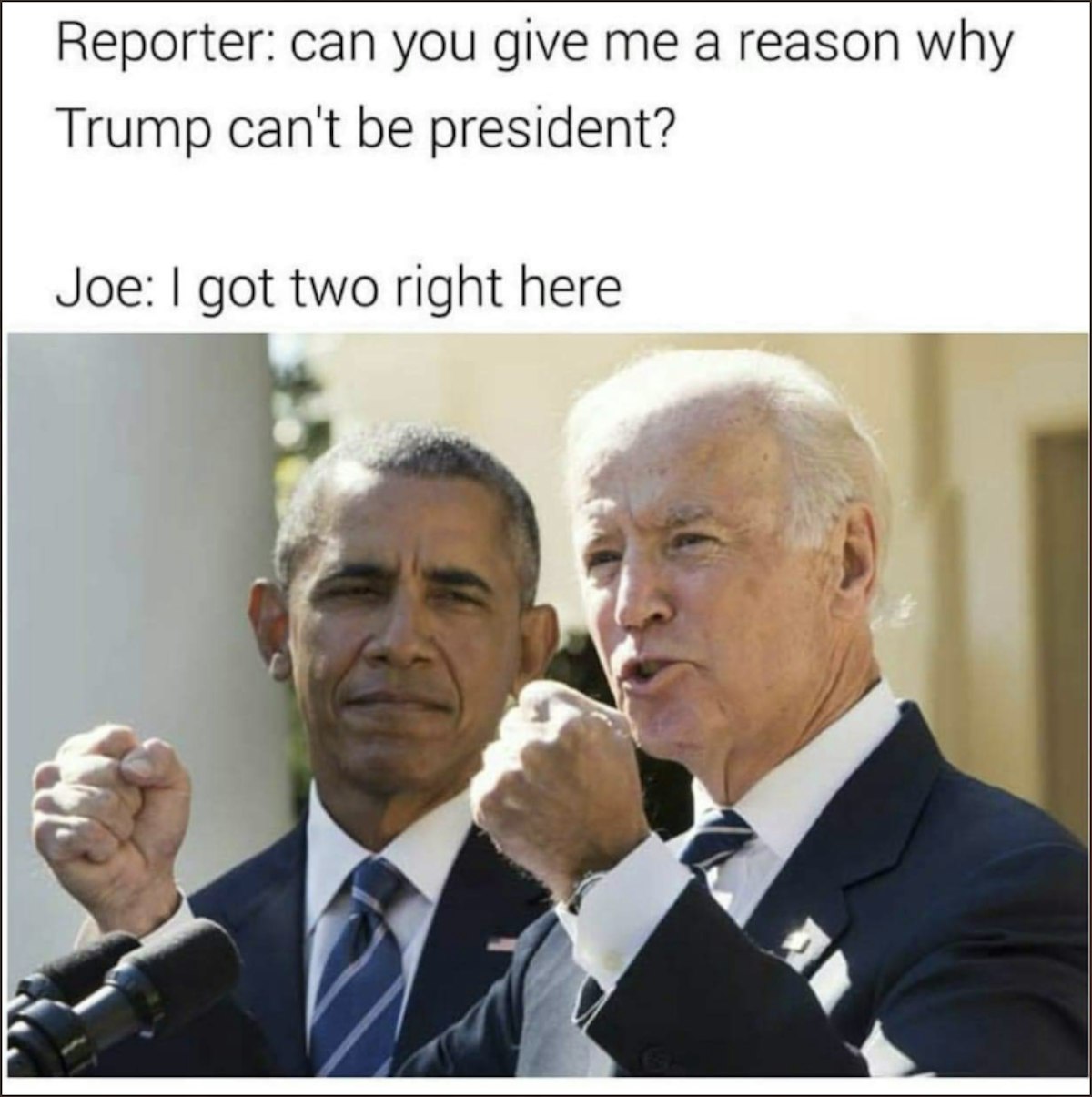 The Best Joe Biden and Barack Obama Bromance Memes - Grazia