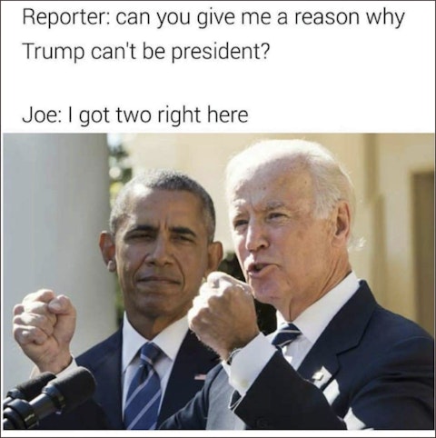 The Best Joe Biden and Barack Obama Bromance Memes - Grazia