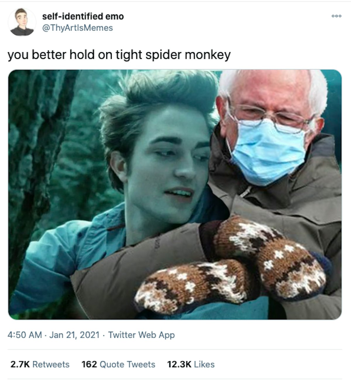 The Best Bernie Sanders Memes And Jokes After That Adorable Mitten Picture