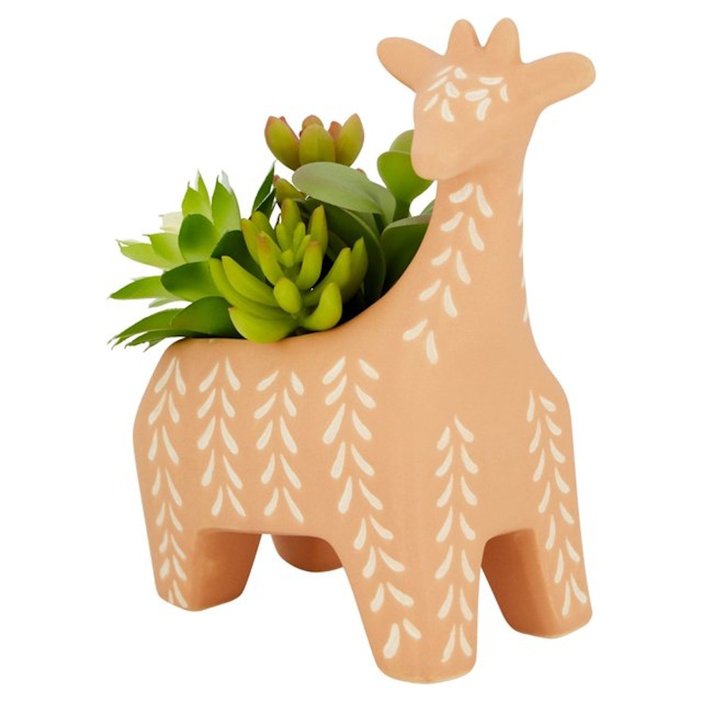 The best Morrisons plants and homeware to transform your space
