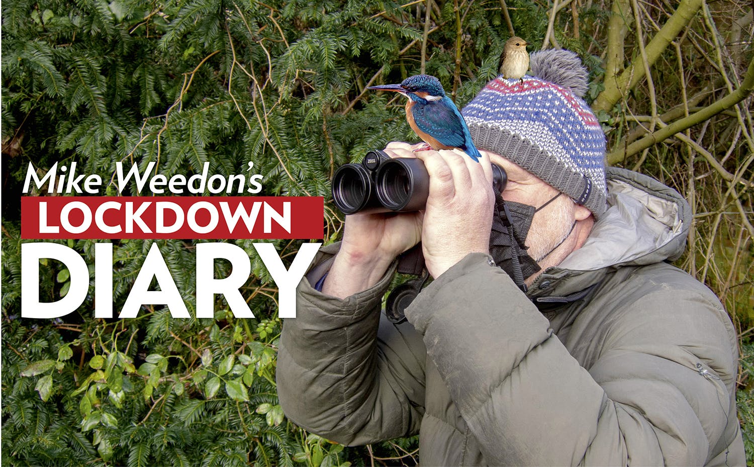 Lockdown Diary | Features | Bird Watching