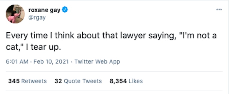 The Best Zoom Fail Memes From Lockdown - Grazia