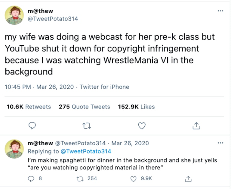 The Best Zoom Fail Memes From Lockdown - Grazia