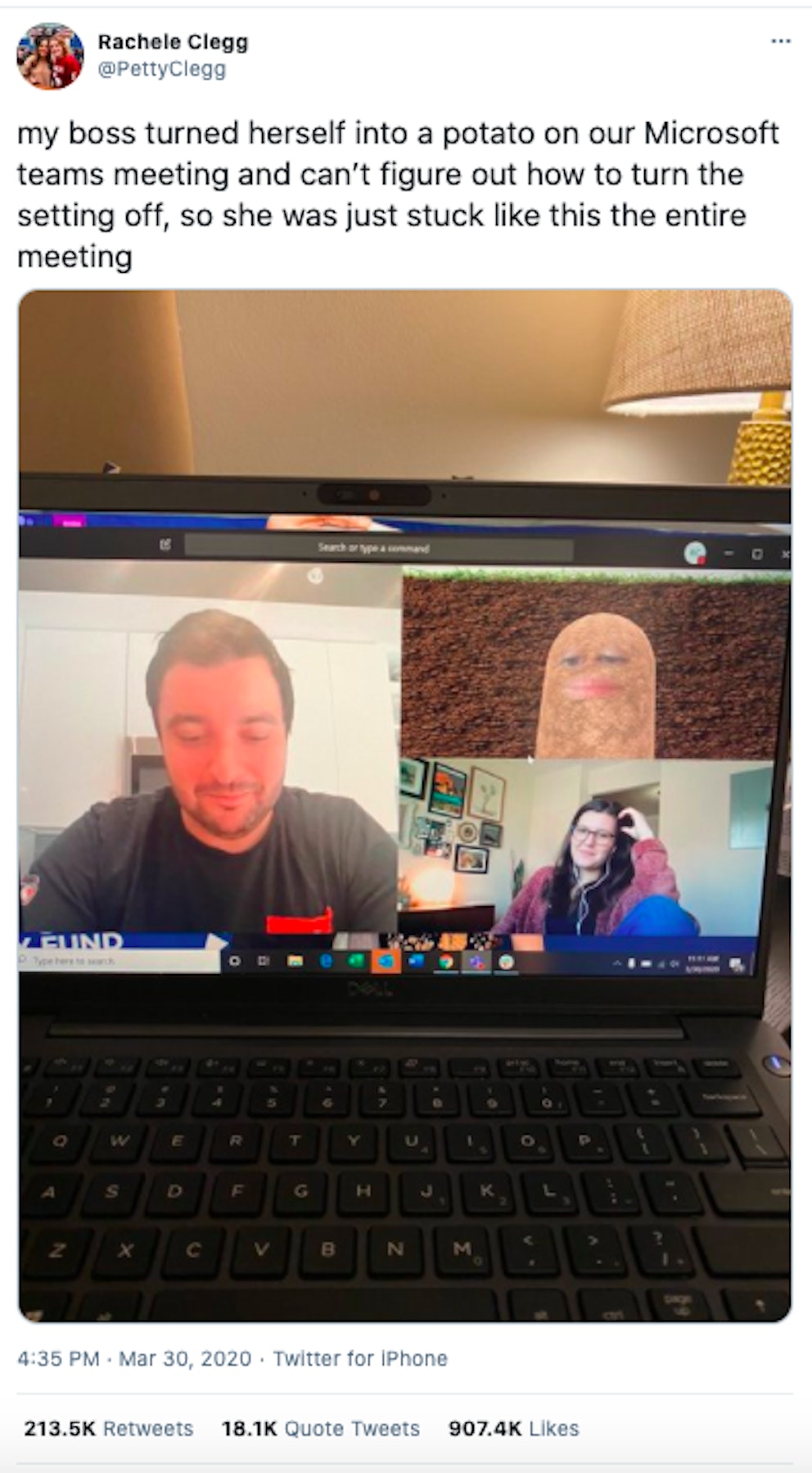 The Best Zoom Fail Memes From Lockdown - Grazia