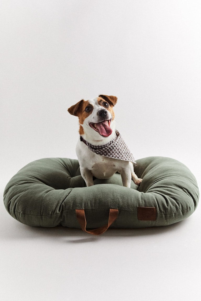 Zara Dog Clothes For Your Pet