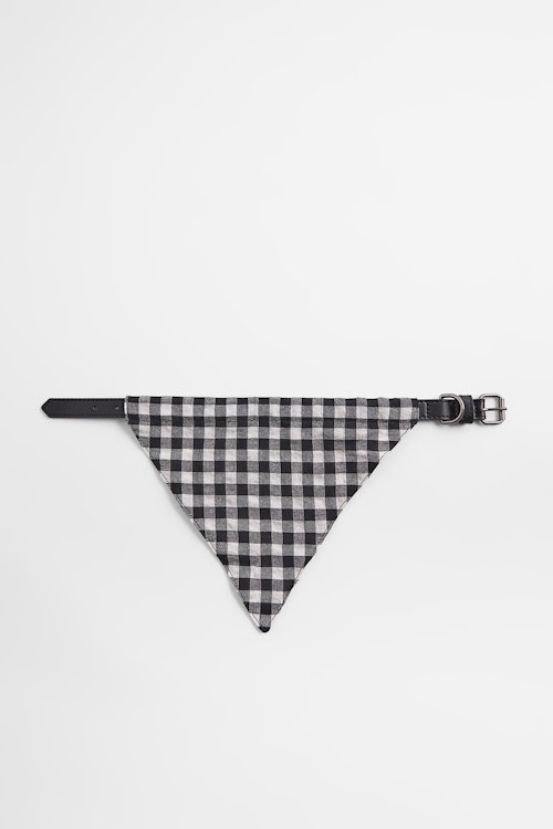 Zara’s New Collection Is For Your Dog, To Ensure They’re As Well ...