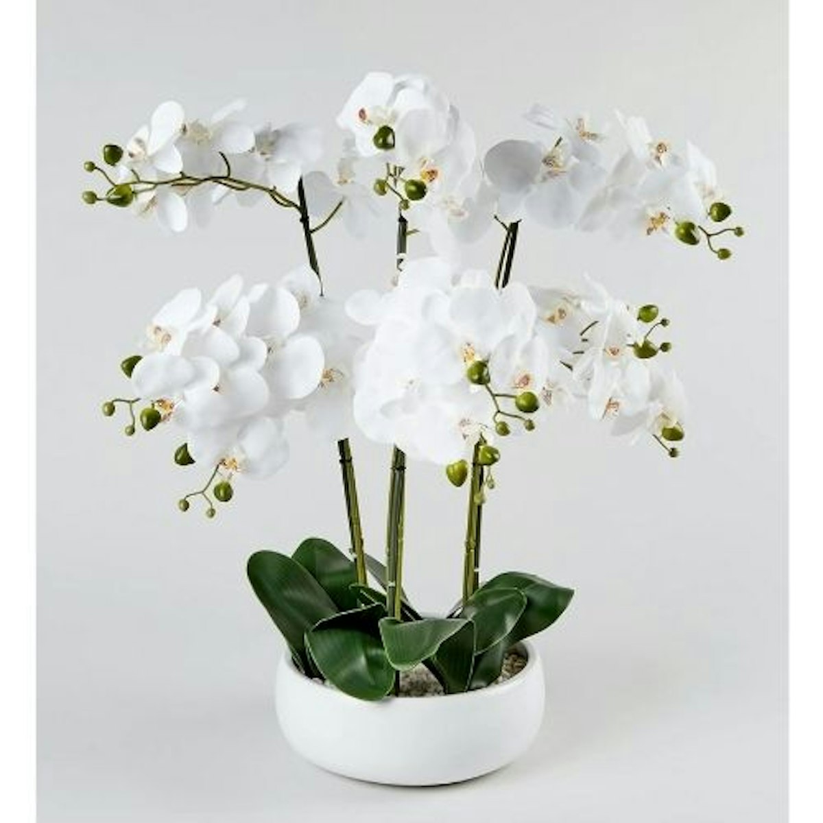 The Best Flower Pots for Indoor and Outdoor Use