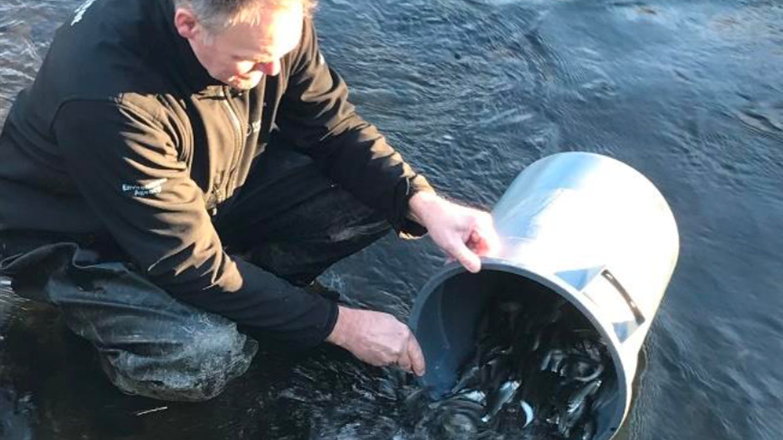 ENVIRONMENT AGENCY: JANUARY UPDATE | News | Angling Times