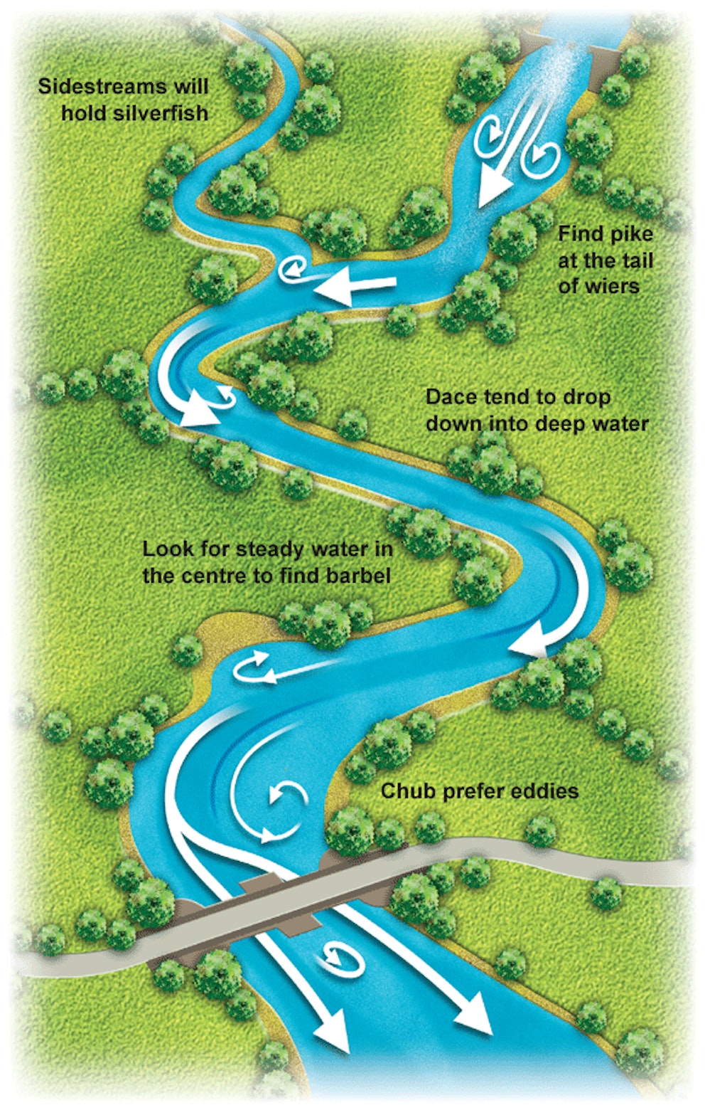 HOW TO FISH A FLOODED RIVER | Angling Times