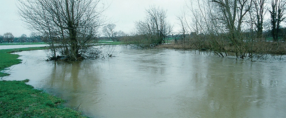 HOW TO FISH A FLOODED RIVER | Angling Times