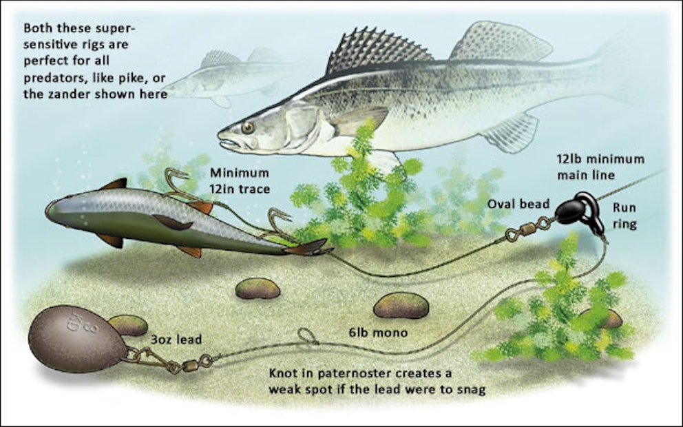 HOW TO AVOID DEEPHOOKING PIKE WHILE DEADBAITING | Angling Times
