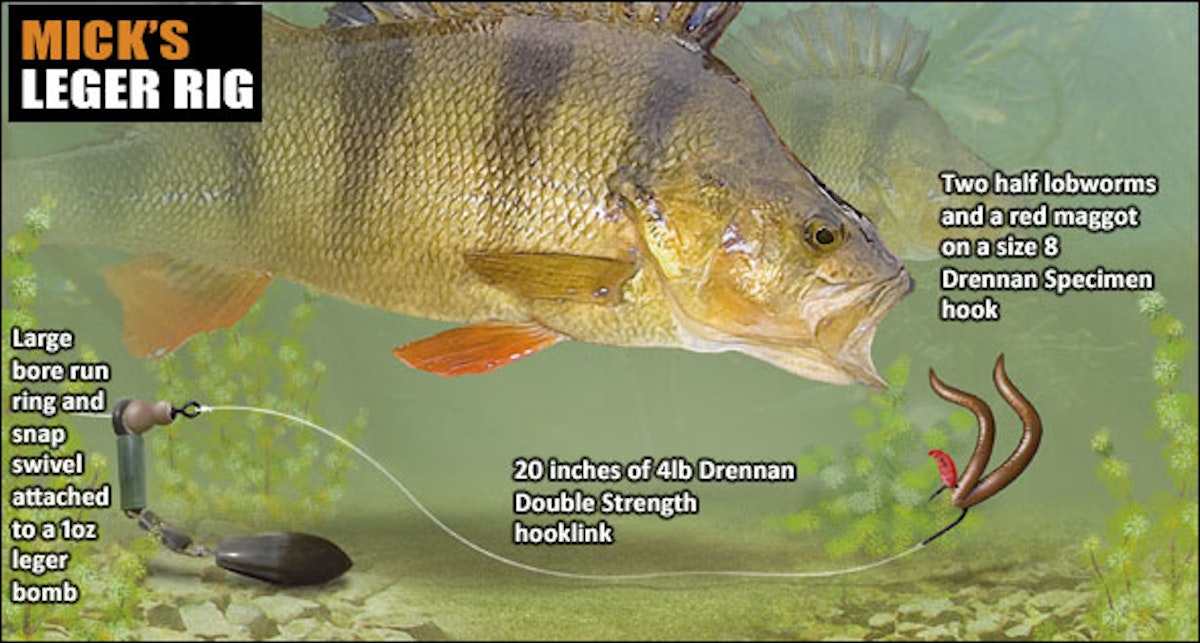 HOW TO CATCH BIG PERCH | Angling Times