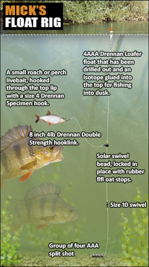 HOW TO CATCH BIG PERCH | Angling Times