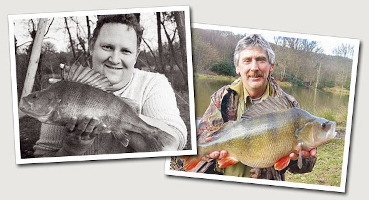 HOW TO CATCH BIG PERCH | Angling Times