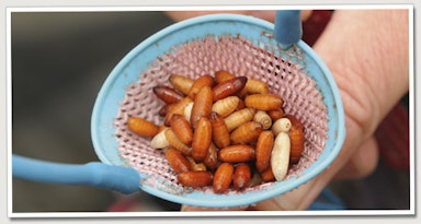 HOW TO FISH THE WAGGLER | Angling Times