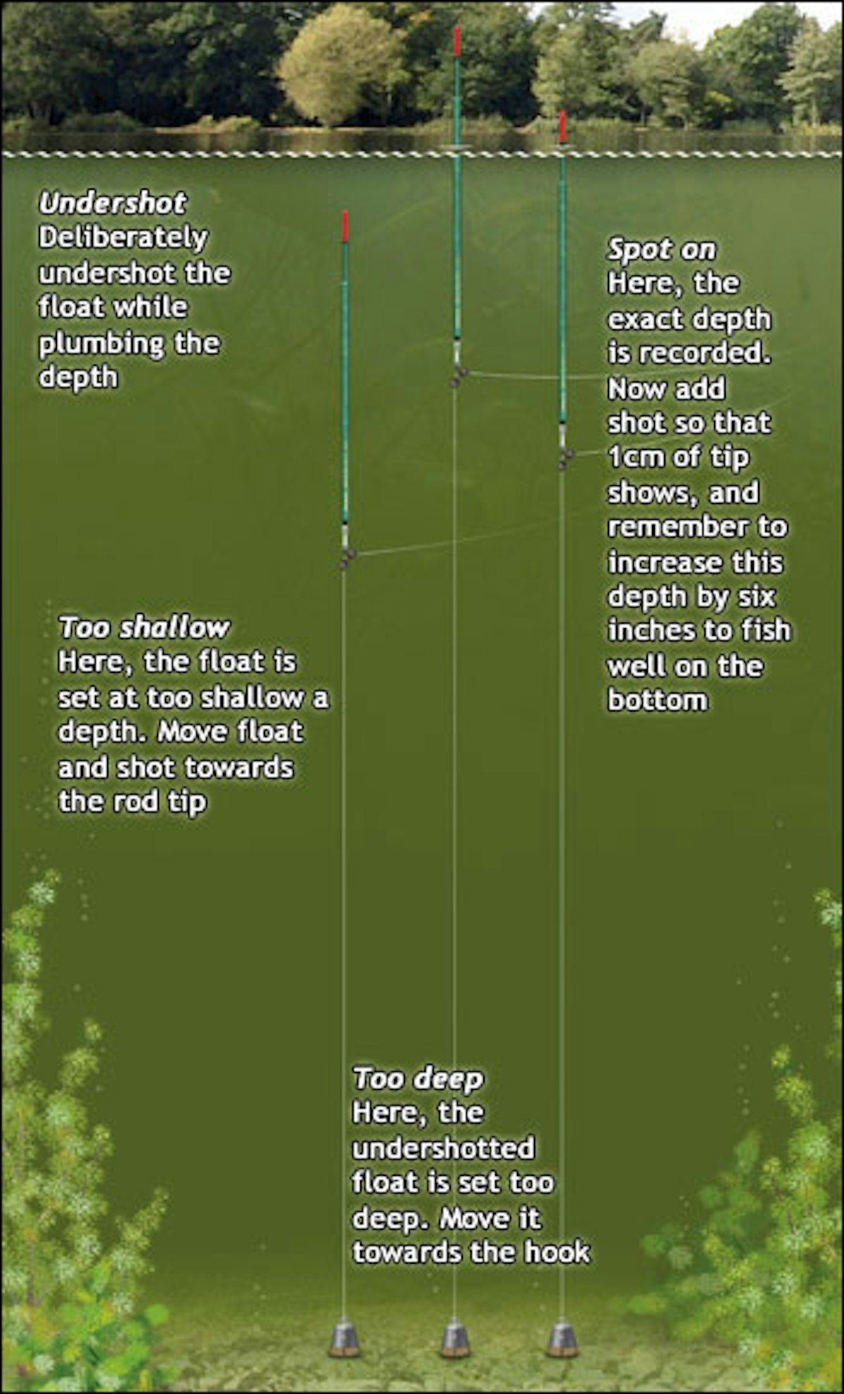 HOW TO FISH THE WAGGLER | Angling Times