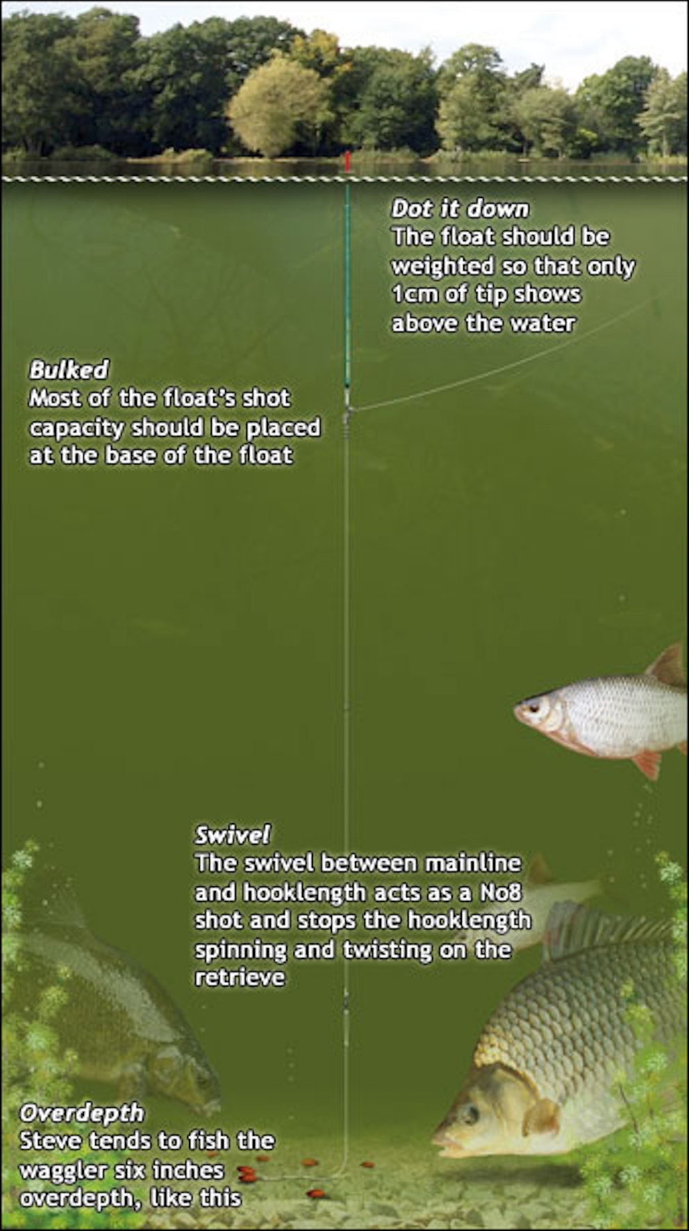 HOW TO FISH THE WAGGLER | Angling Times