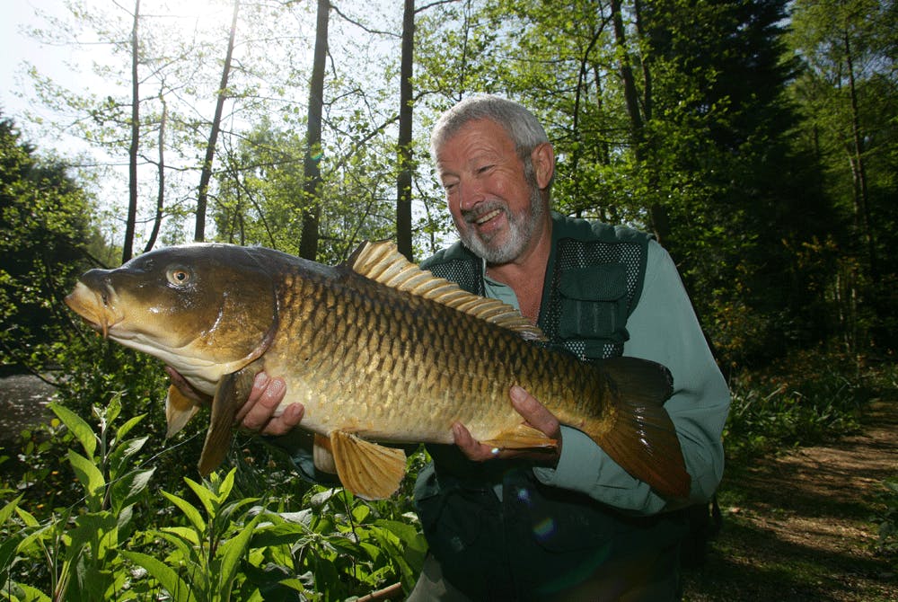 JOHN WILSON’S GUIDE TO SURFACE FLOATER FISHING FOR CARP | Angling Times
