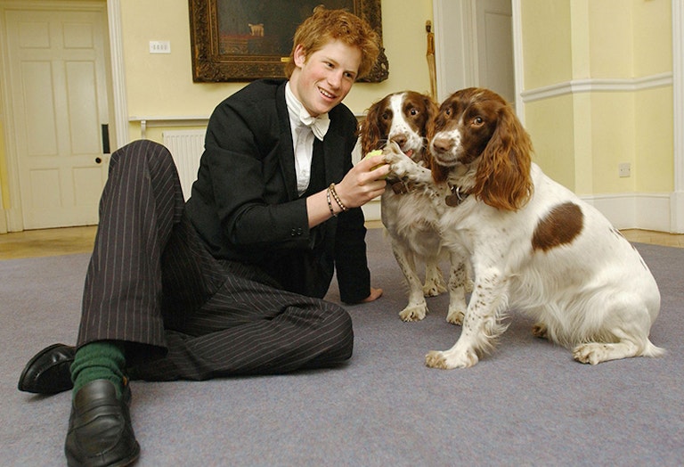 Prince Harry young: a Royal childhood in photos