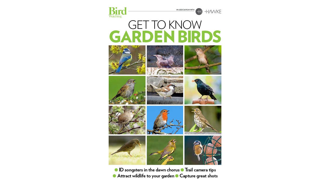 Get To Know Garden Birds Mini Mag | Features | Bird Watching
