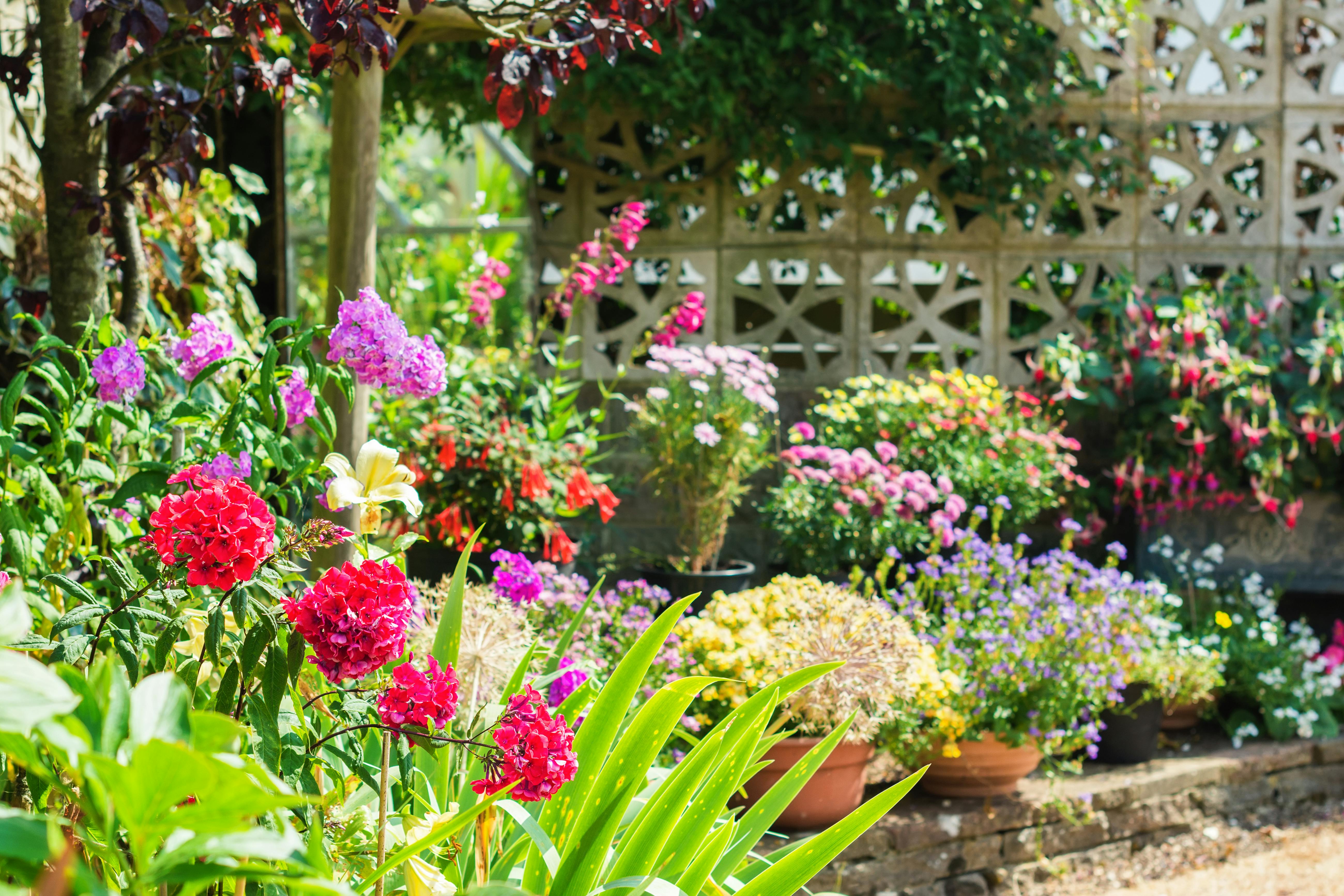 Summer-flowering bulbs for stunning garden displays | Life | Yours