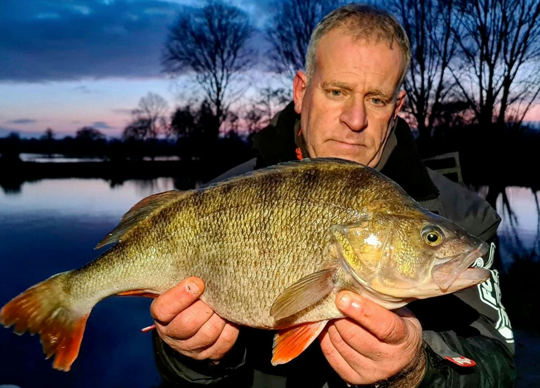Huge perch strikes at last knockings | Angling Times
