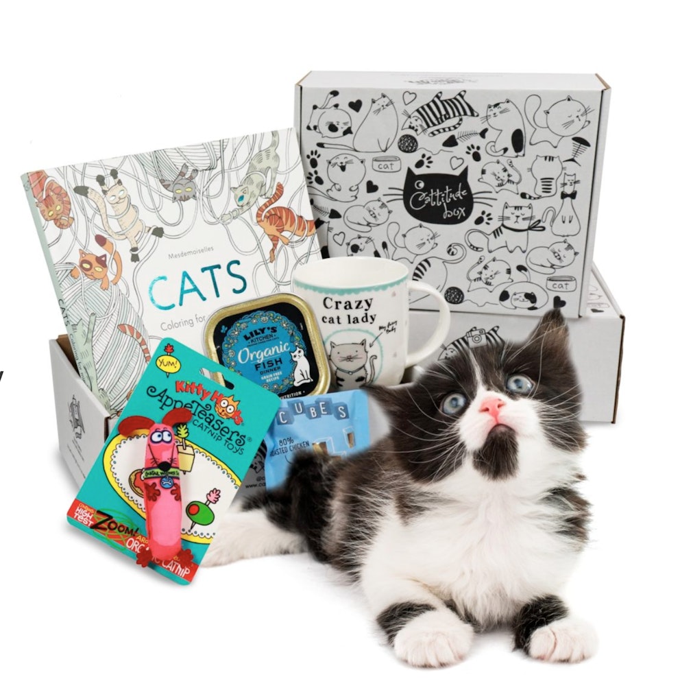 The Best Cat Subscription Boxes UK