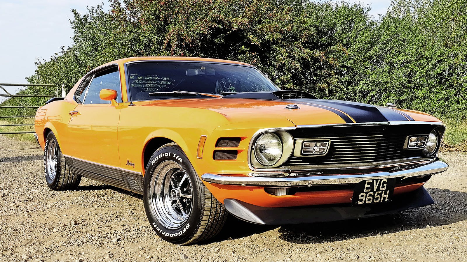 Ford Mustang Classic Cars