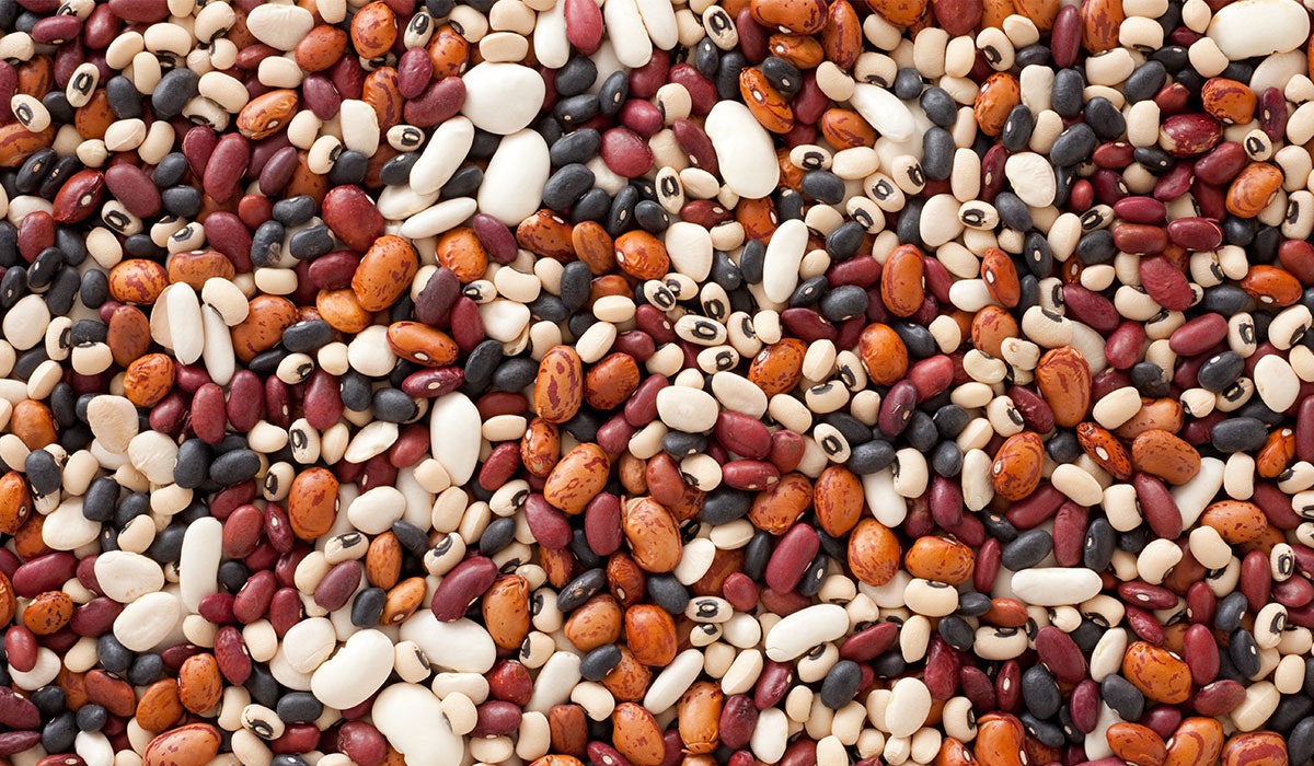 What beans are baked beans? And other things you never knew about beans