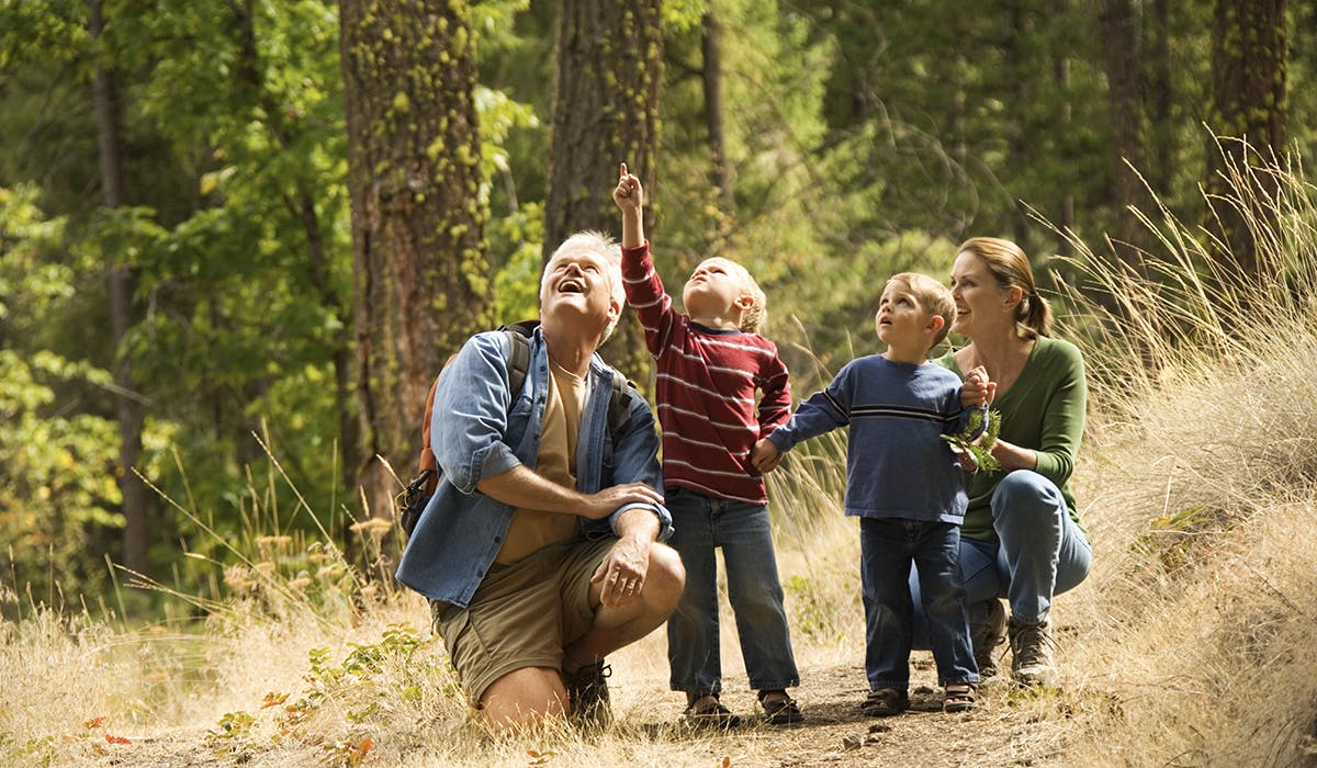 How to get kids interested in birdwatching | Leisure | Yours