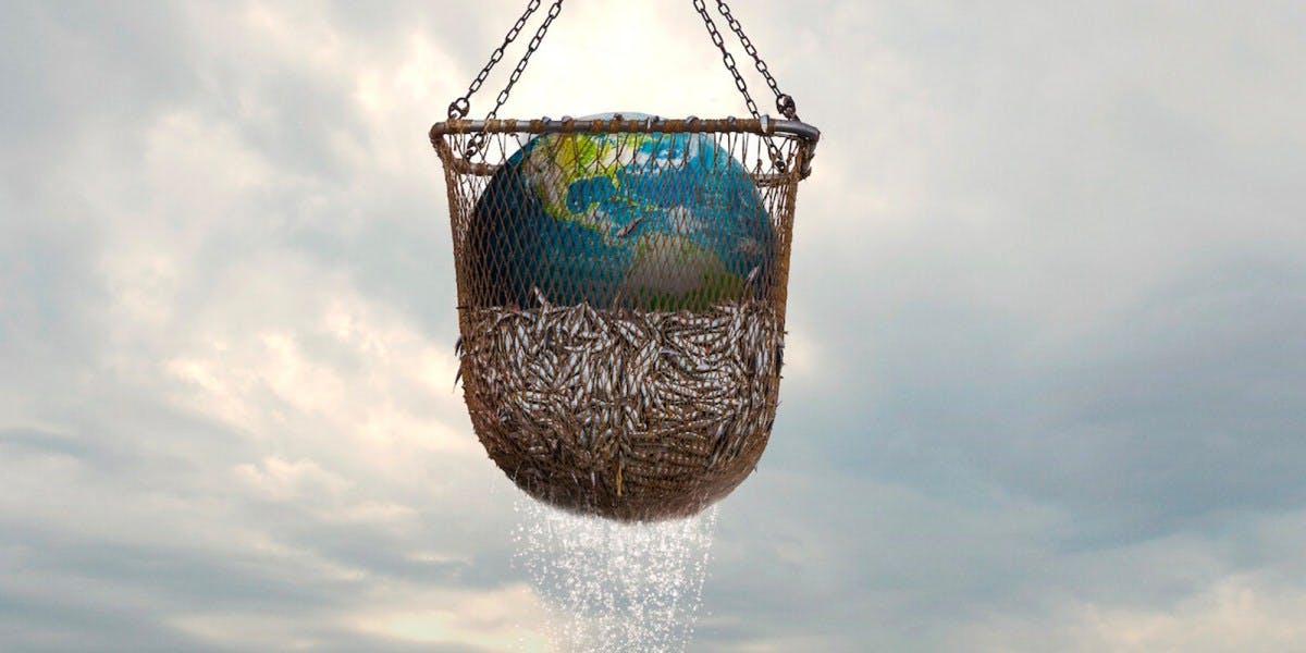 Seaspiracy: The New Netflix Documentary That Will Stop You Eating Fish