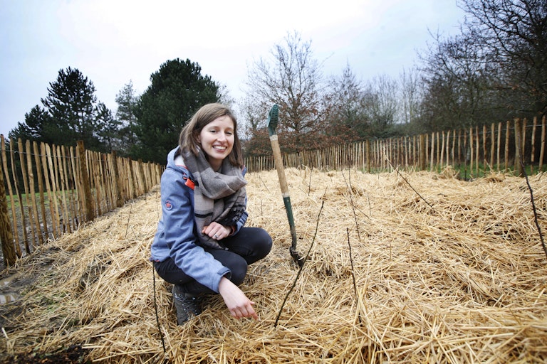 The tiny forests making a big impact