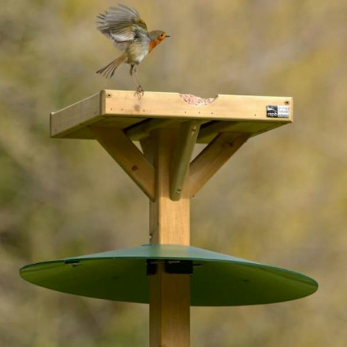 Best Squirrel Baffles For Your Bird Feeder