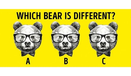 40 brain teasers for adults to give your mind a workout | Leisure | Yours