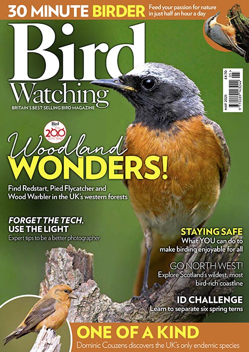 Latest Issues | Magazine | Bird Watching