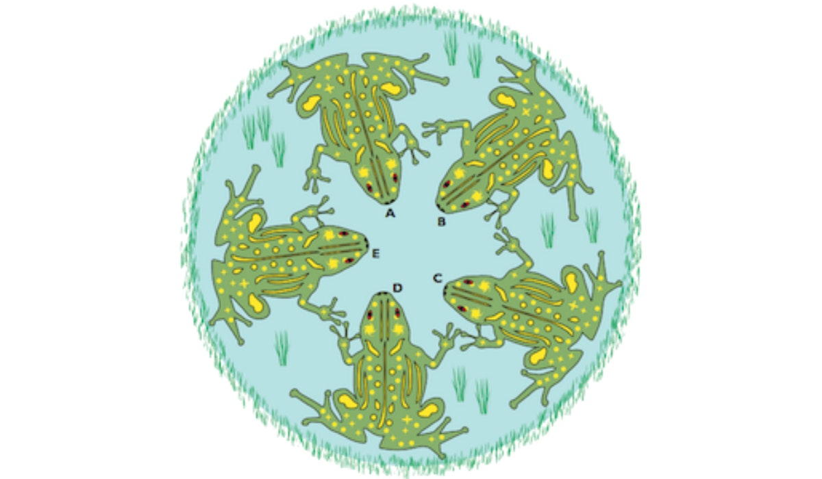 50 brain teasers for adults to give your mind a workout