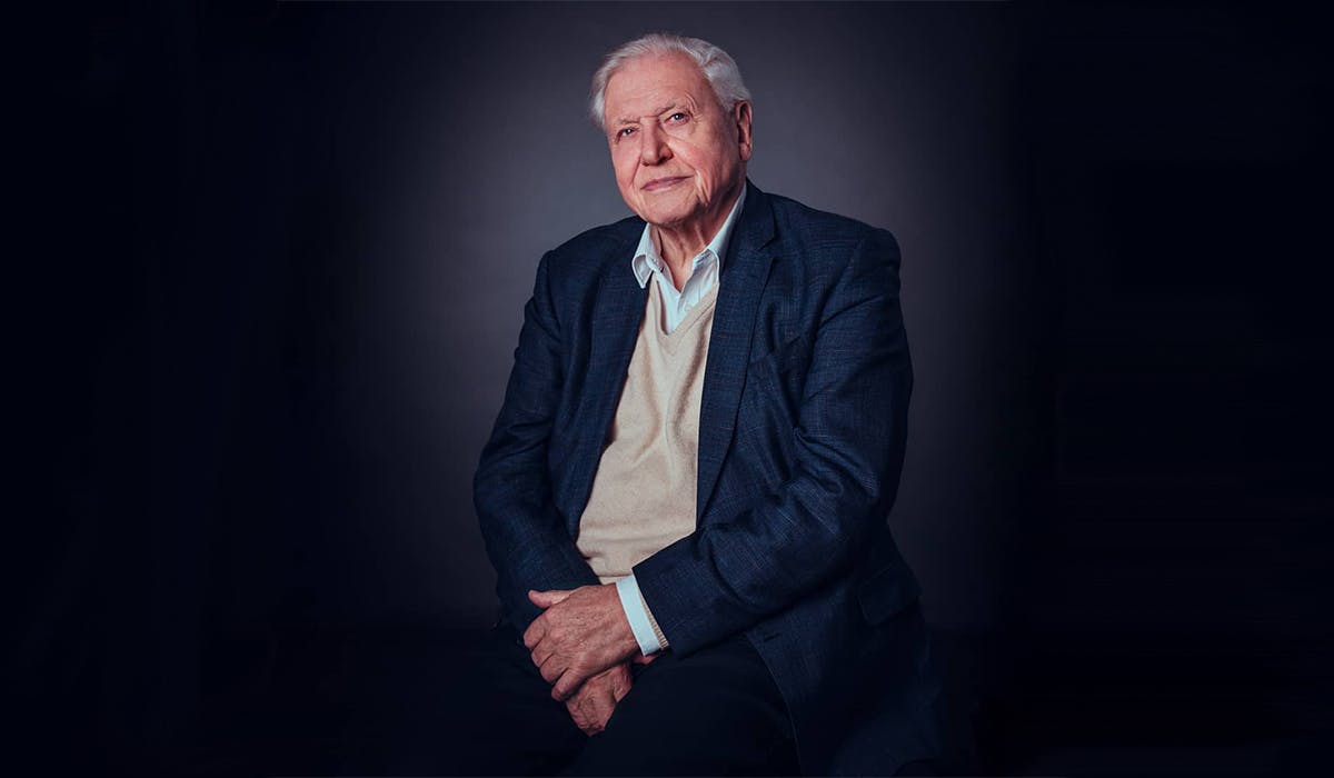 The 10 best documentaries by Sir David Attenborough