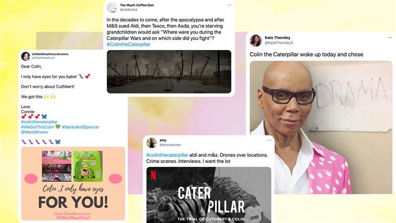 Cake Wars: The Best Colin The Caterpillar VS Cuthbert The Caterpillar Memes