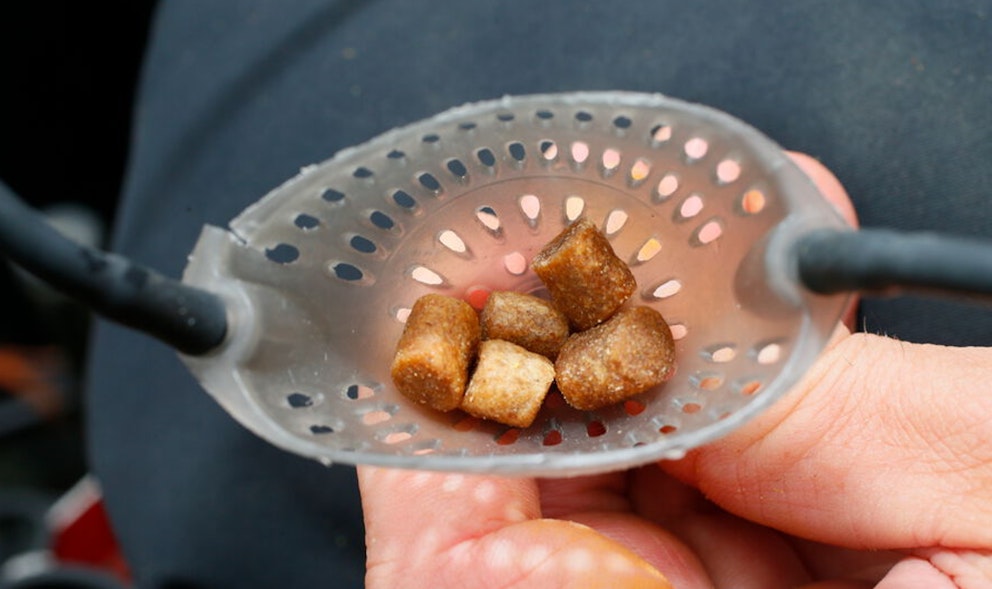Pellet Waggler Fishing Tips – Steve Ringer | Angling Times