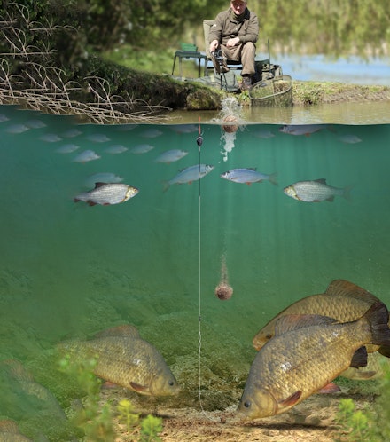 Crucian Carp Float Fishing Rig | Angling Times