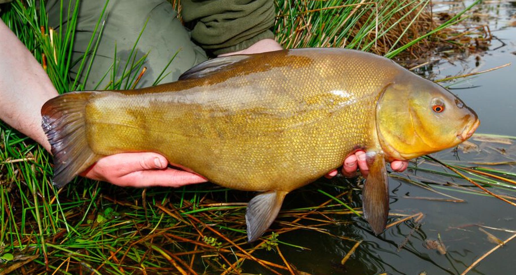 Screen Shot 2021-04-27 at 17.05.43.png?format=jpg&quality=80&width=960 ...