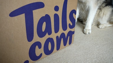 Tails.com Review: Is it the best dog food subscription box?
