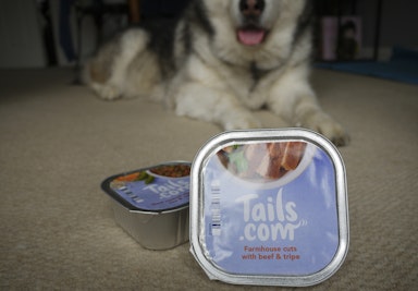 Tails.com Review: Is it the best dog food subscription box?