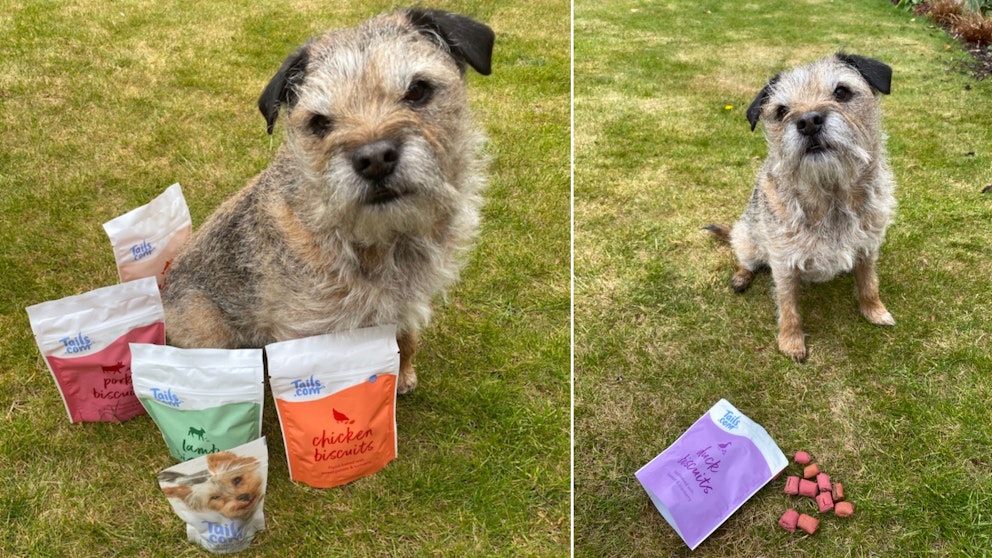 Tails.com Review: Is it the best dog food subscription box?